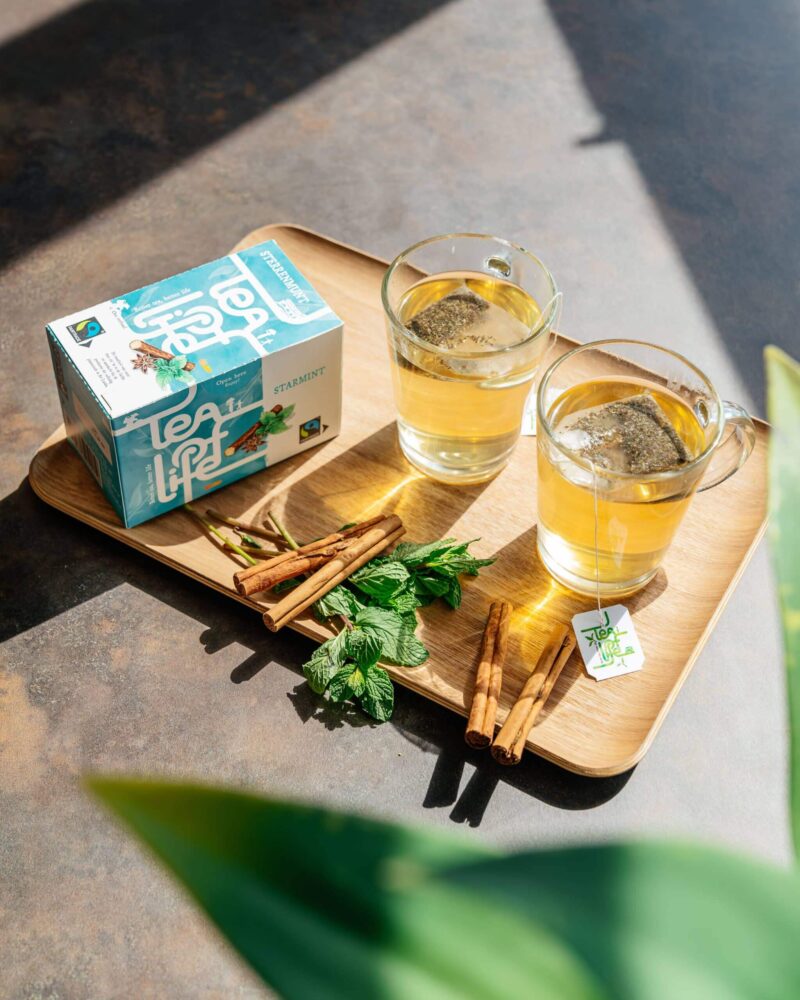 Tea for the office - Axxent Masters in Tea